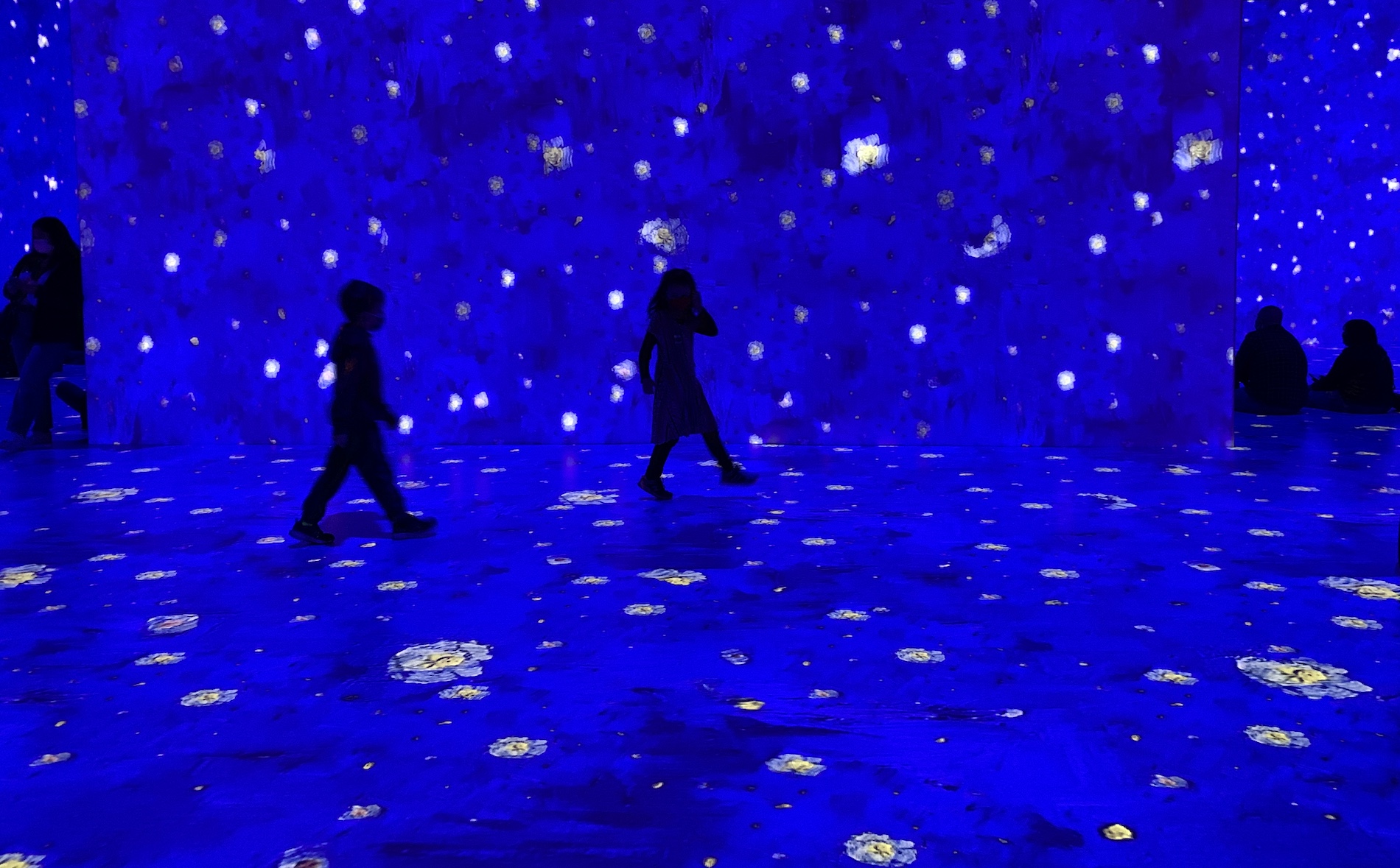 Social Contract - Chris Hardie